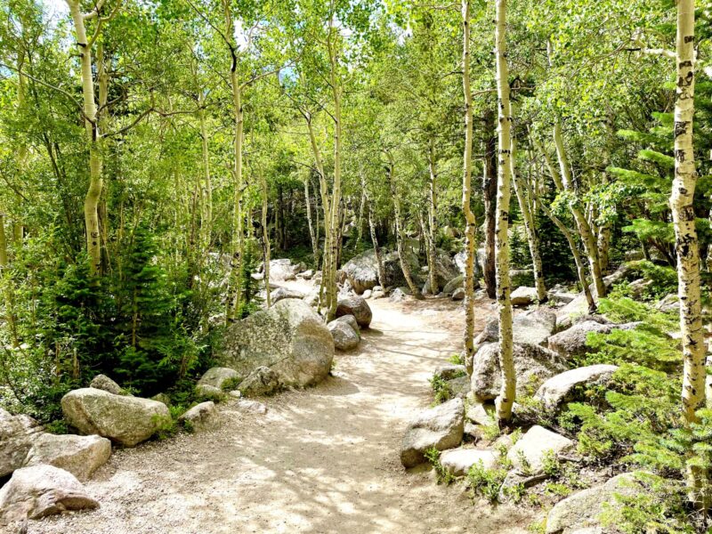 15 Easy Hikes in Rocky Mountain National Park