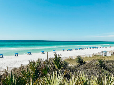 23 Iconic & Fun Things To Do in Seaside, Florida