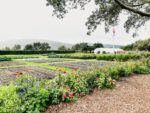 The Ultimate Napa Valley Girls' Trip (3-Day Itinerary)